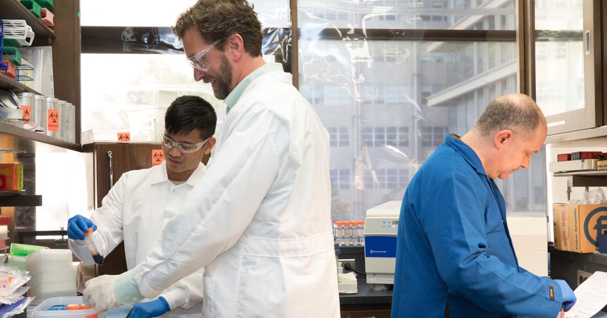 Kord-lab.2400x874.jpg?itok=_CPuLcS2